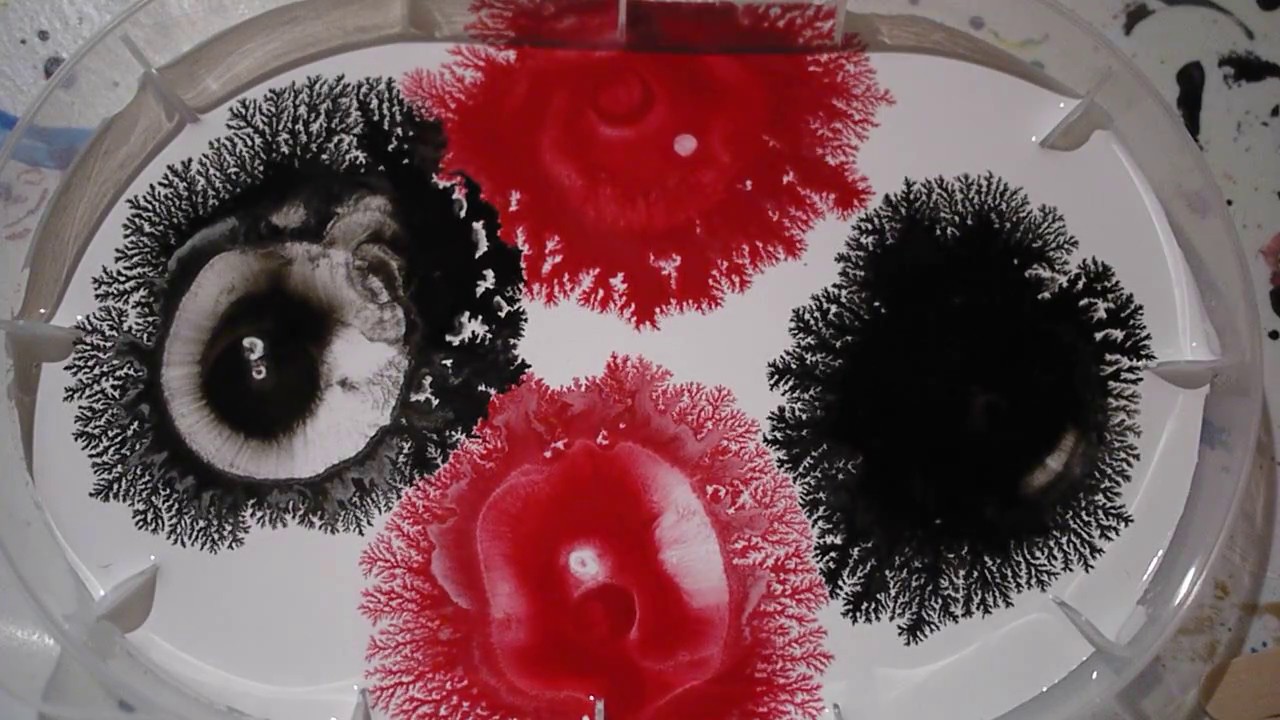 how to let grow dendrites - YouTube