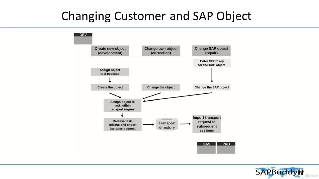 SAP BASIS COURSE: Lec 39. SAP Object Modification. - YouTube