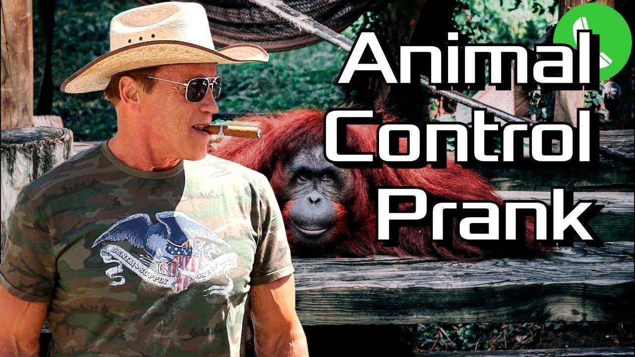 Arnold Calls Animal Control - Prank Call - YouTube