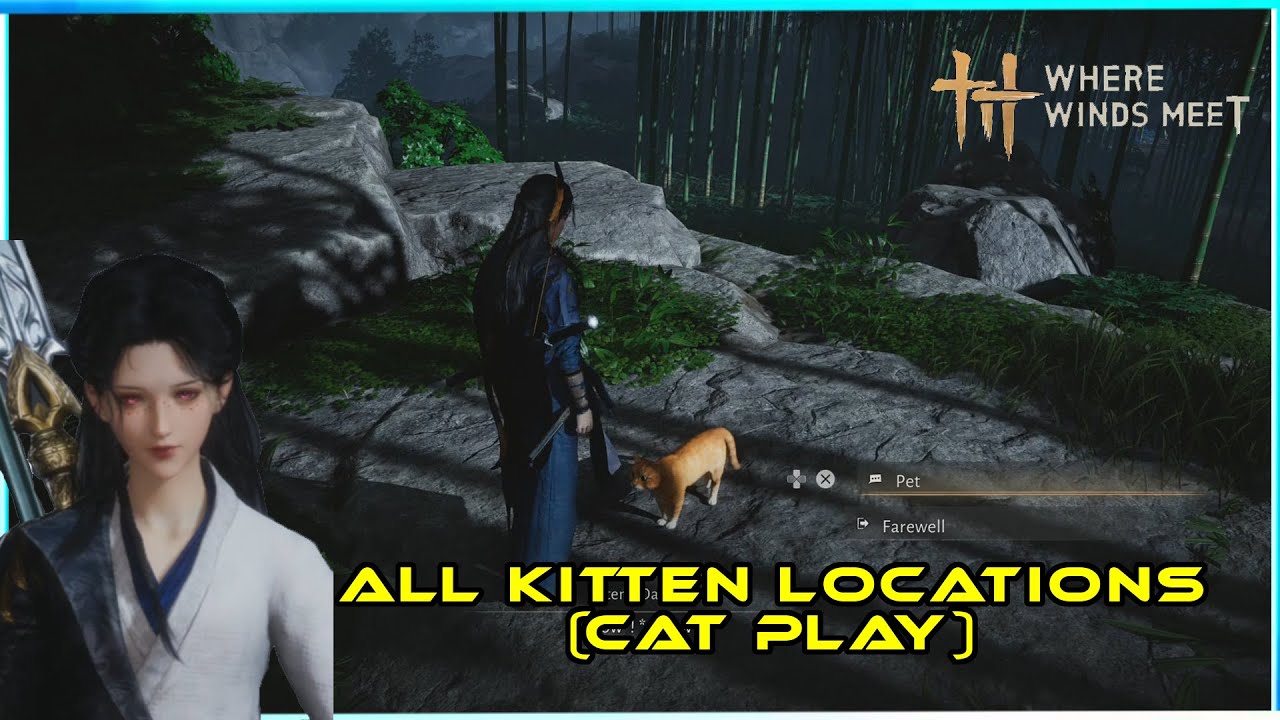All Kitten Locations In Where Winds Meet Cat Play Collectibles Qinghe ...