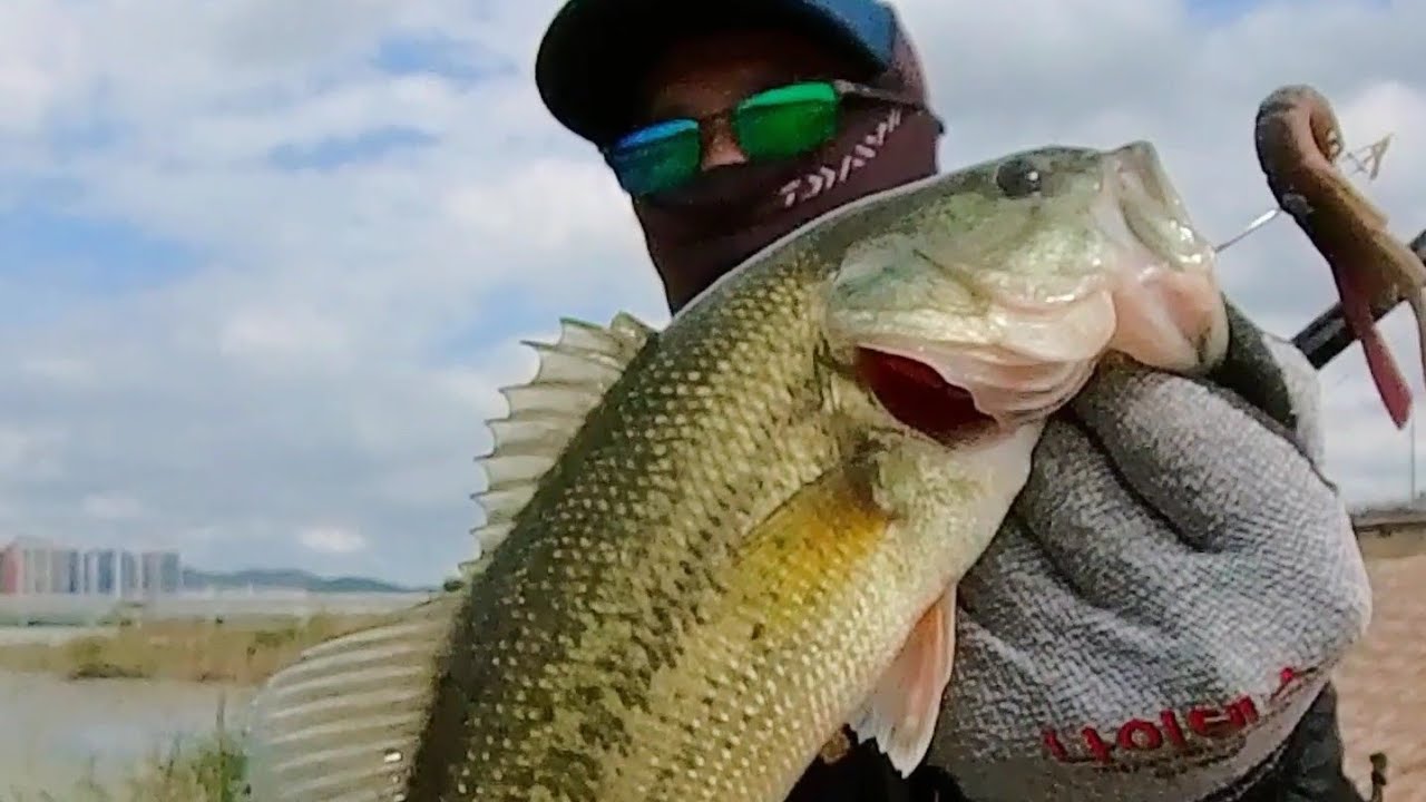 2022.09.22. Thursday Bass fishing in Hyeongsan River GyeongJu Korea ft ...