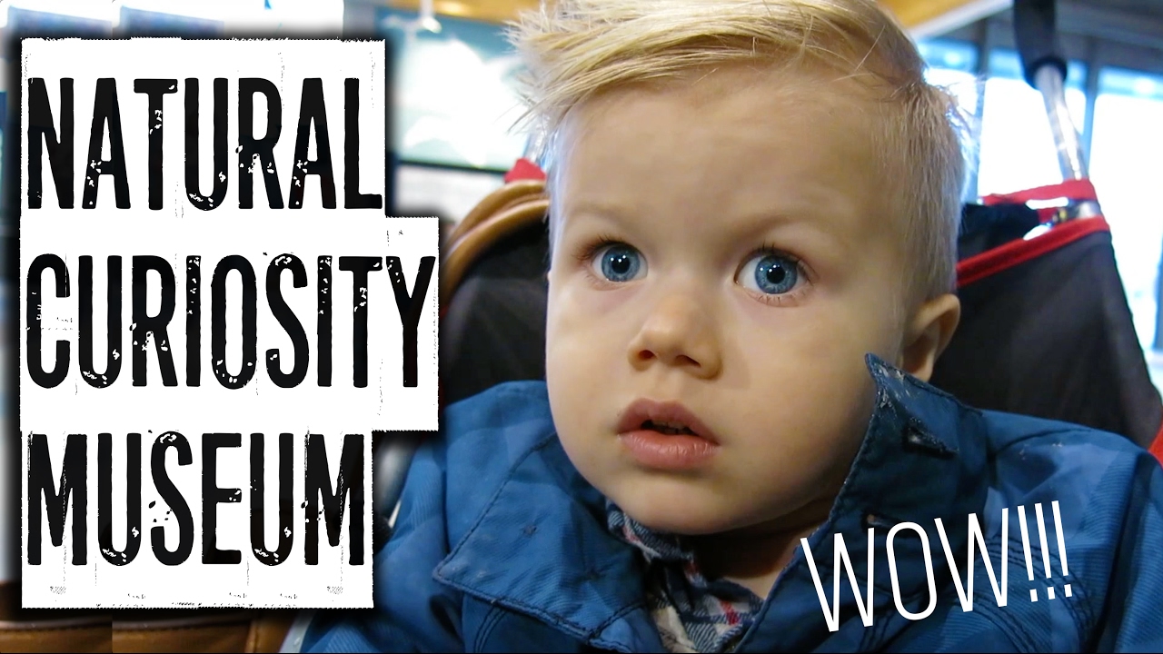 MUSEUM OF NATURAL CURIOSITY | INSANELY COOL - YouTube