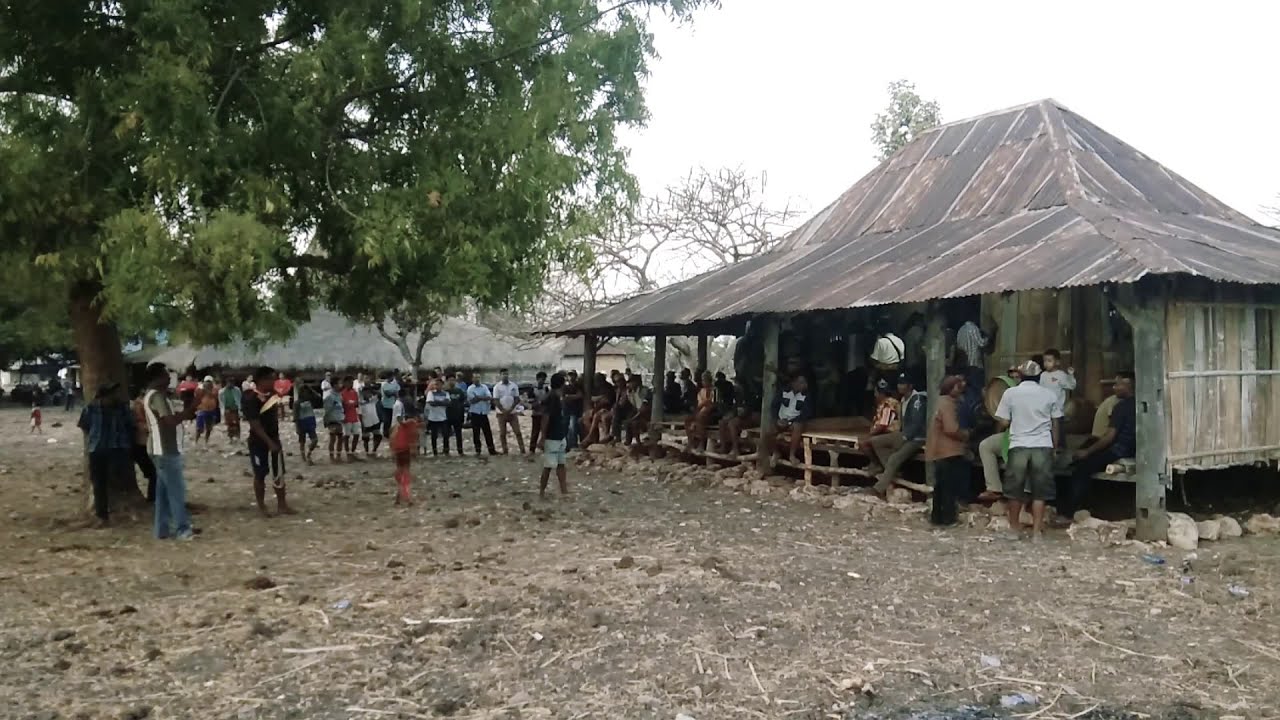 PROSES PENGUBURAN "ADAT MARAPU" SUMBA TIMUR - YouTube