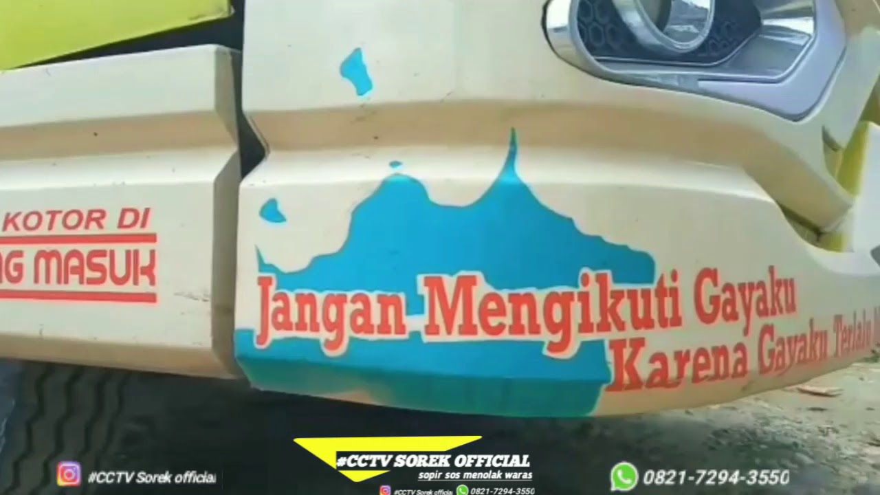Bandar susu yang lagi viral di kalangan anak ccrv sumatra - YouTube