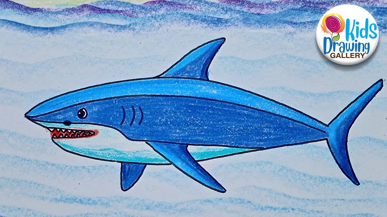 Shark drawing simple and easy | how to draw shark sketch - YouTube