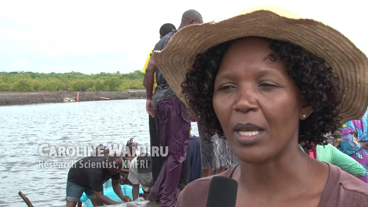 Baraka Conservation Women Group - YouTube
