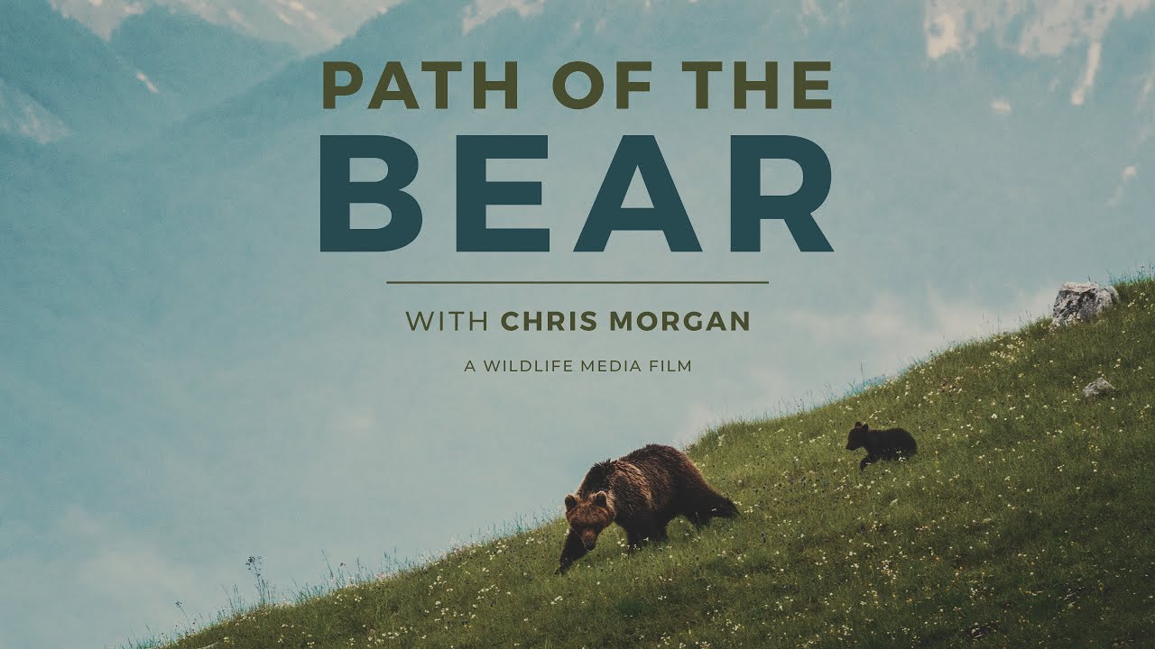 PATH OF THE BEAR - Trailer - YouTube