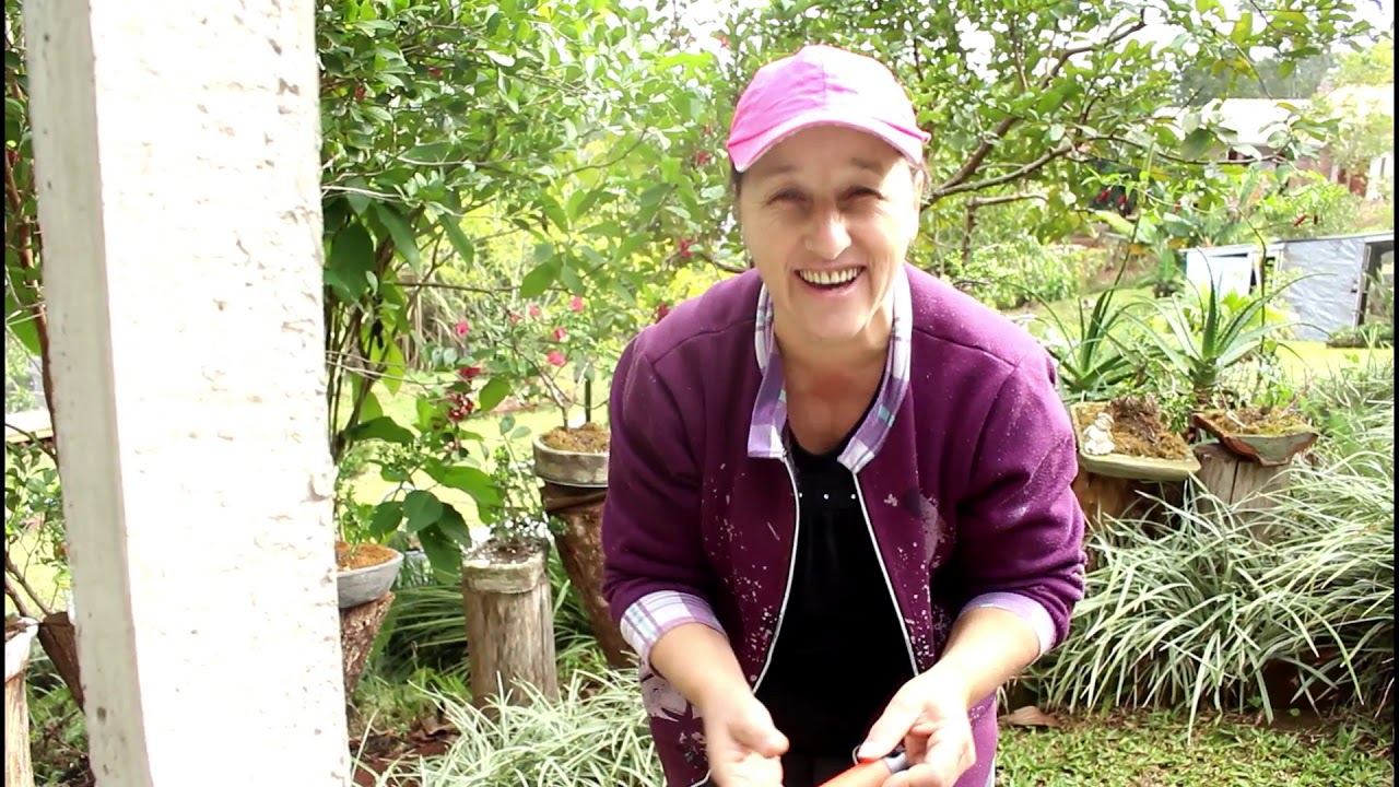 PLANTANDO UVA PARA PERGOLADO - YouTube