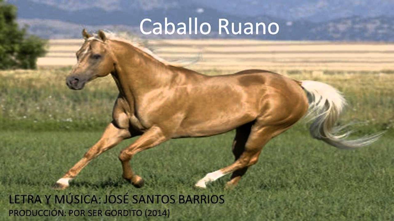 caballo ruano - YouTube
