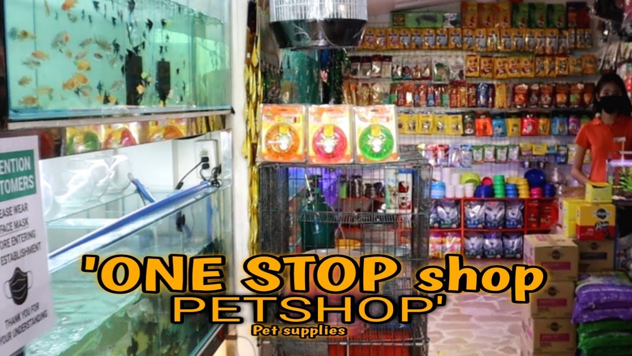 Lahat ng isda sa CARTIMAR makikita sa AMARA PETSHOP|RESELLER ng ...