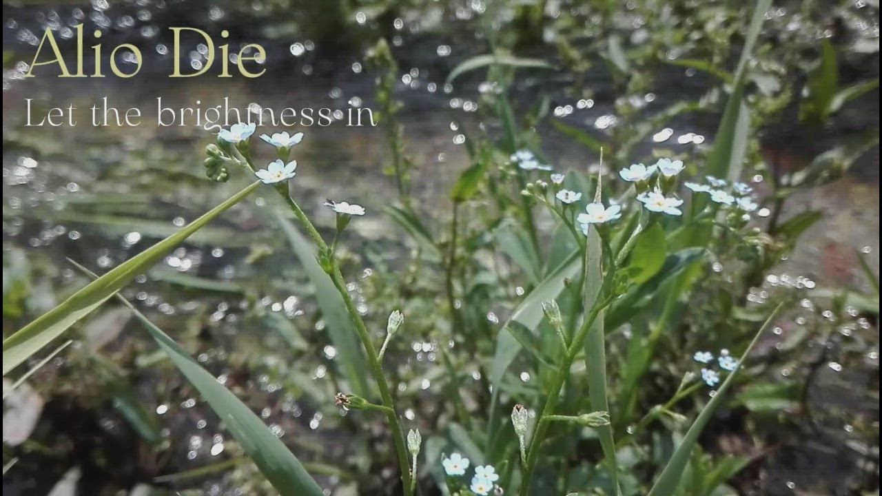 Alio Die - Let the Brightness In - YouTube