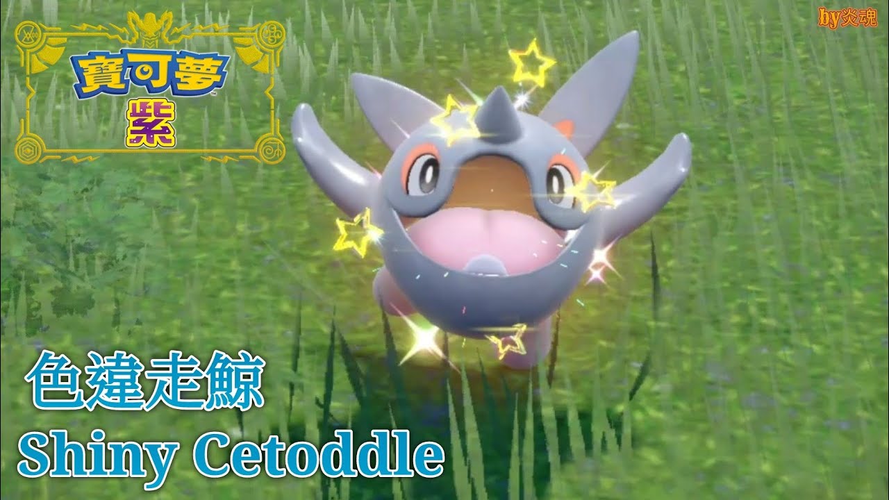 Pokémon Violet - Shiny Cetoddle catch！捕捉色違 走鯨！by炎魂 - YouTube