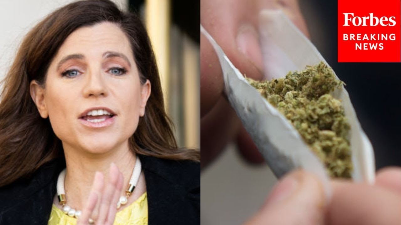 Nancy Mace Points Out There’s Been Zero Cannabis Overdose Deaths ...