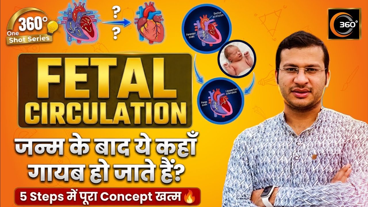 Fetal Circulation Explained - Placenta to Heart | 360 Degree One Shot ...