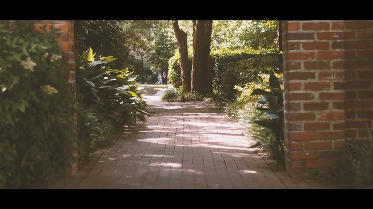 Welcome home, Gamecocks | Homecoming 2023 - YouTube
