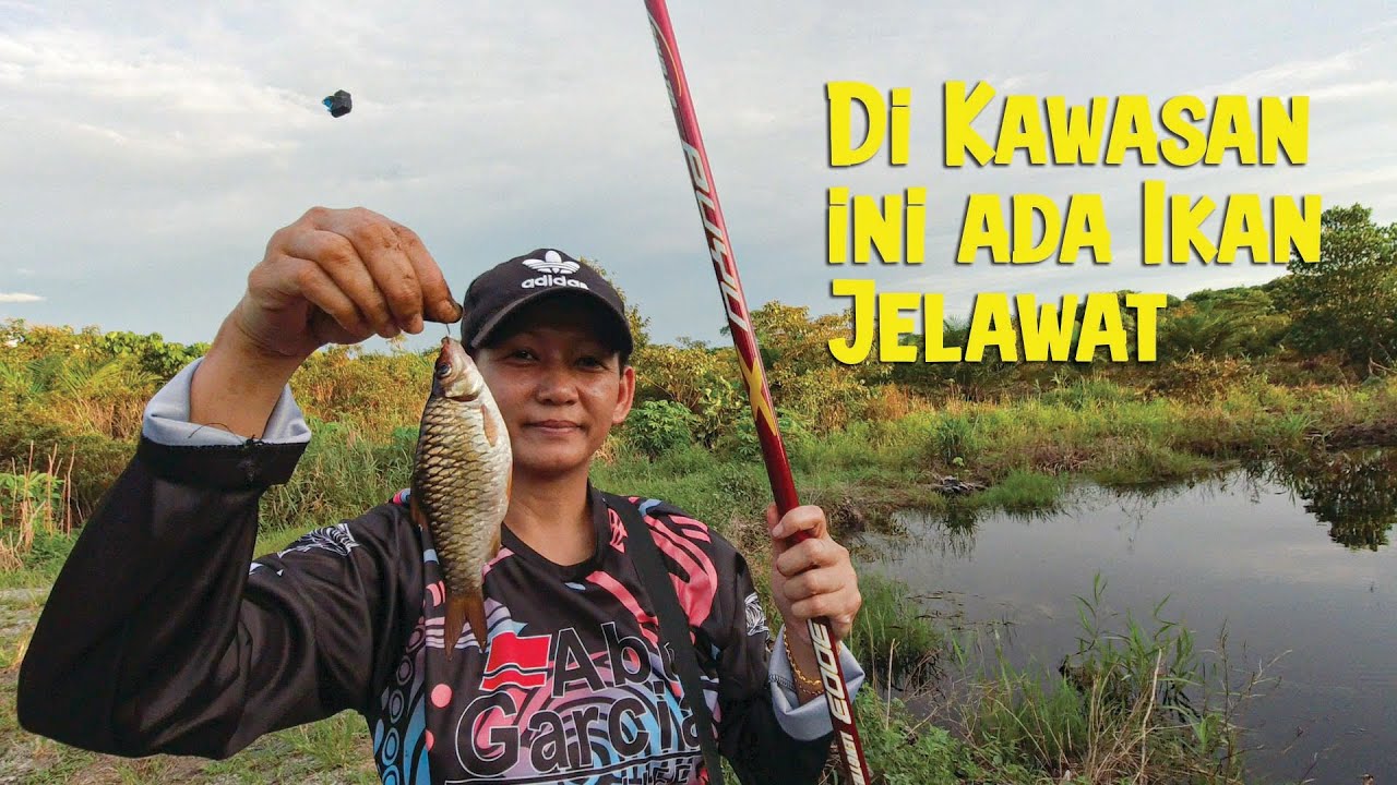 Guna Joran Baru Pancing Puyu & Toman di Kawasan Parit Kebun - YouTube