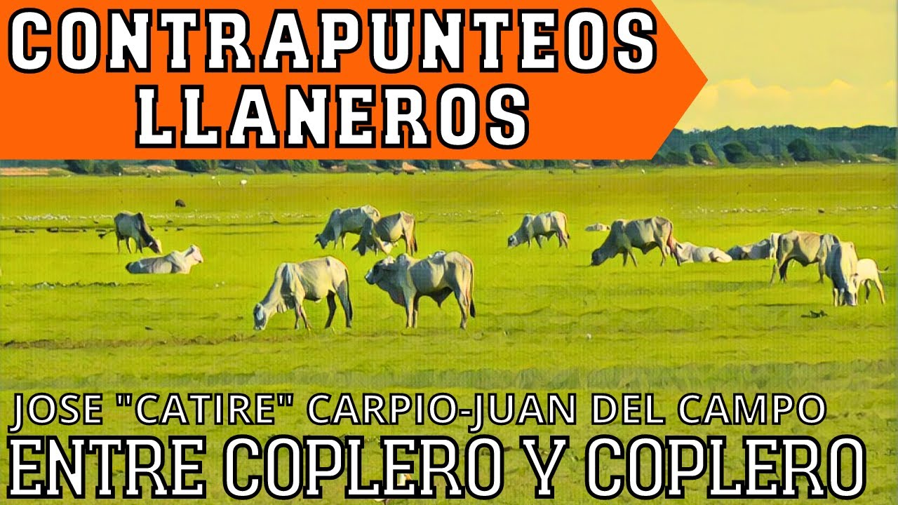ENTRE COPLERO Y COPLERO CONTRAPUNTEO JOSE (CATIRE) CARPIO Y JUAN DEL ...