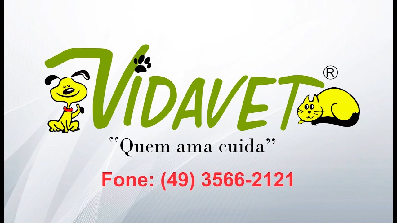Vidavet Clínica Veterinária - YouTube