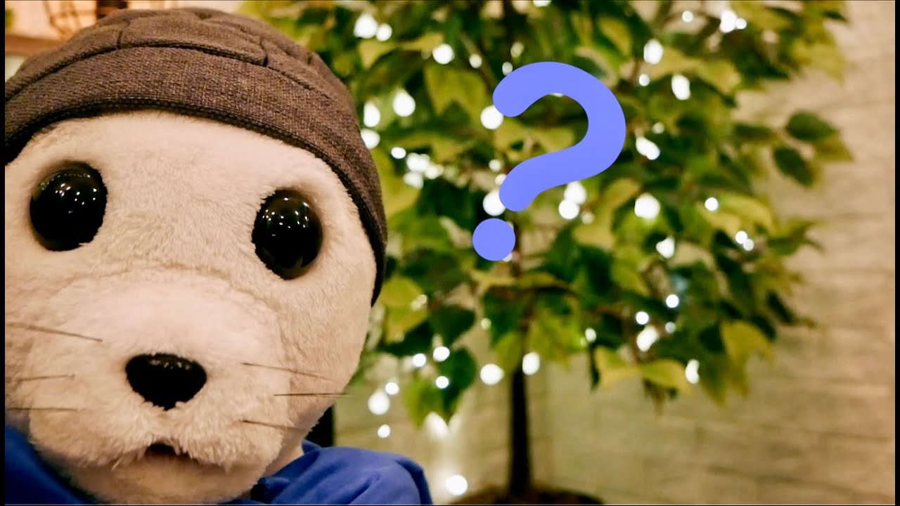 ASMR Meaning | Benefits for relaxation and sleep - YouTube