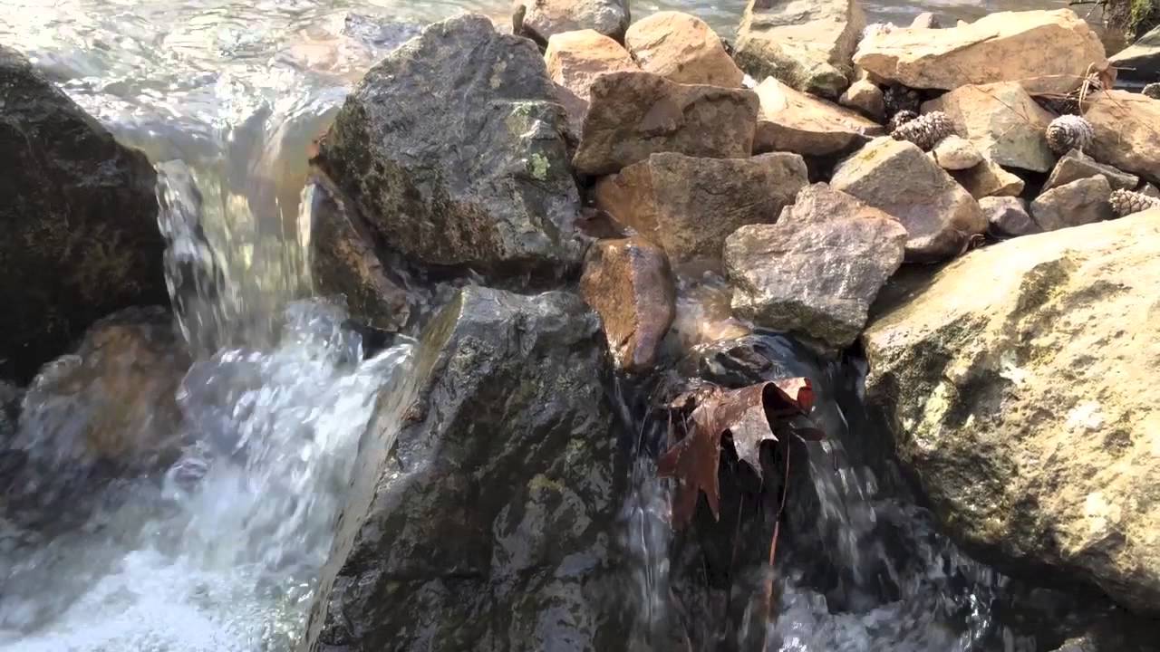 Preserve The Water - YouTube