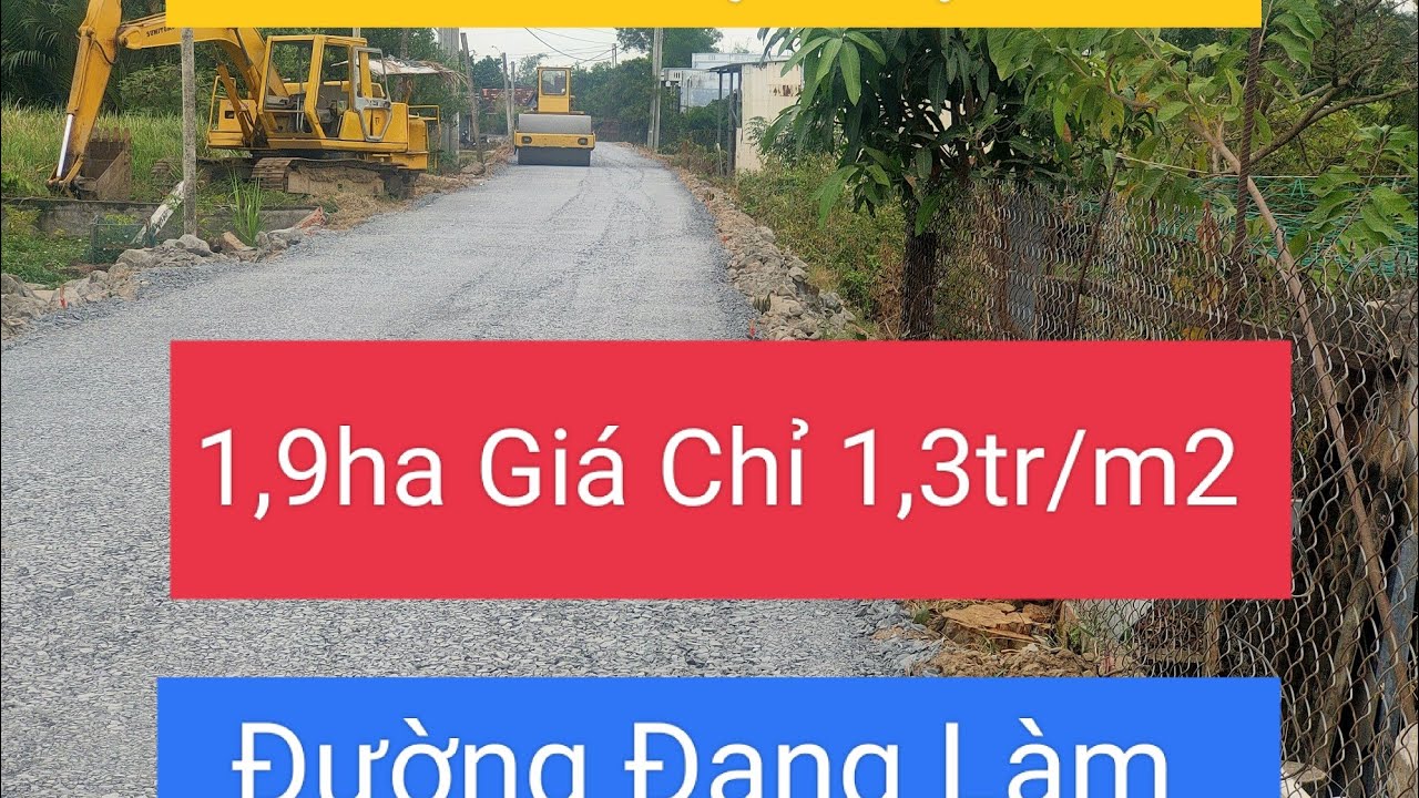 1,9ha Cần Đước Long An. Mặt Tiền Đường Nhựa và Mặt Tiền Sông. Giá Chỉ 1 ...