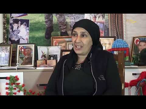 Sənədli film \