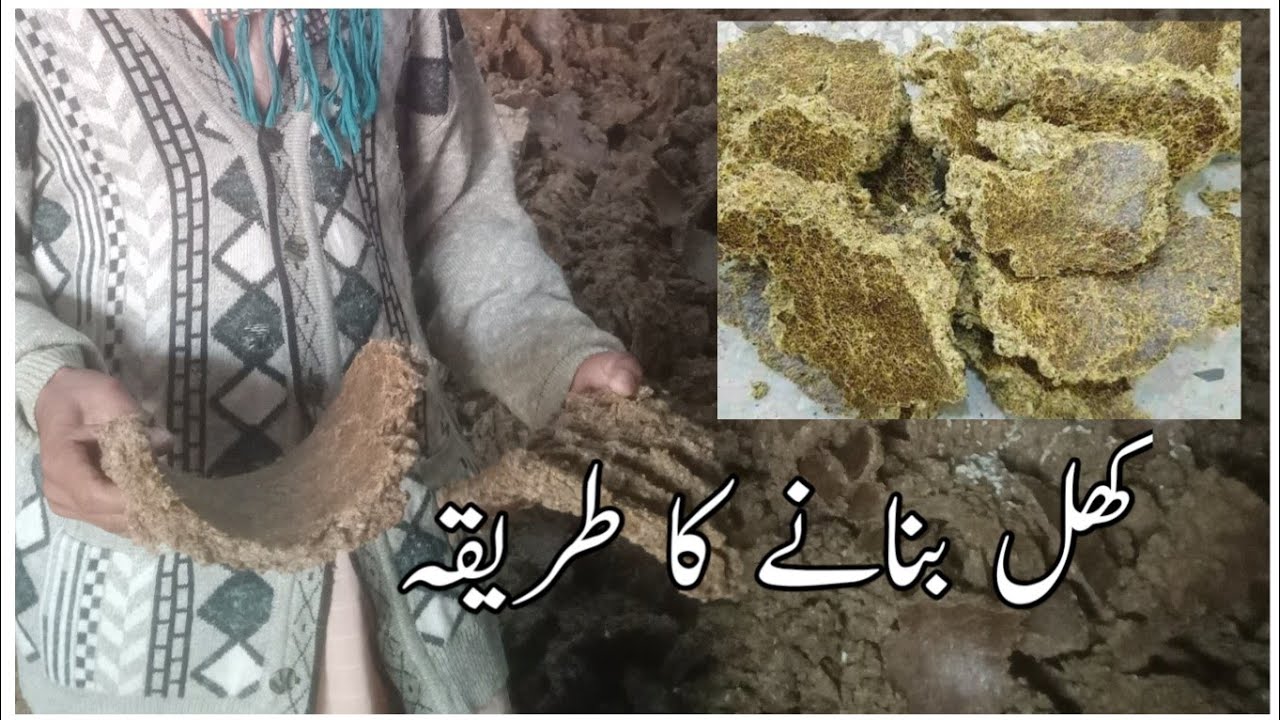 How to make Khal with cotton seeds || Khal Banola banany ka tarika کھل ...