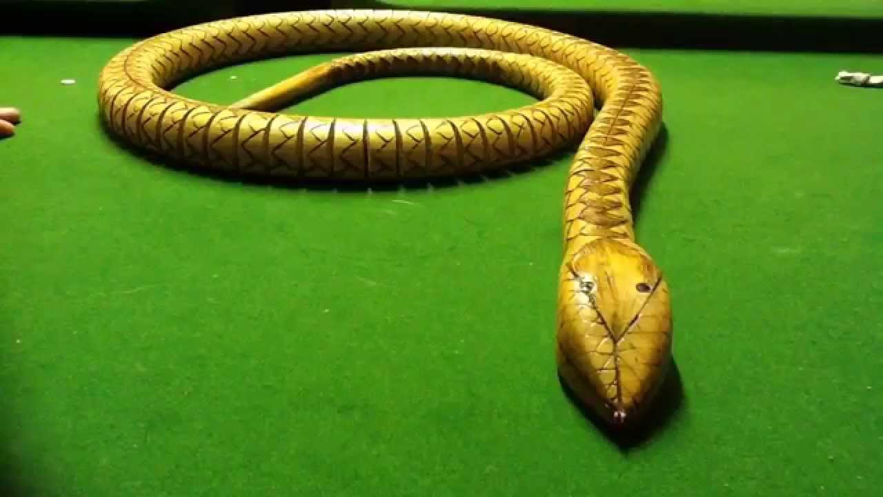 Steve The Snake - Ep1 - YouTube