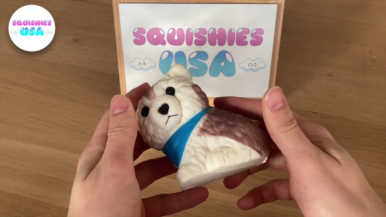 Husky Squishy - YouTube