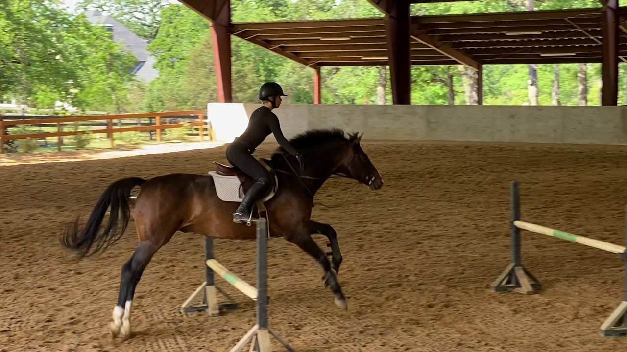 Jennifer Antonacci Muffin NOHANDS, bounce April232020 - YouTube