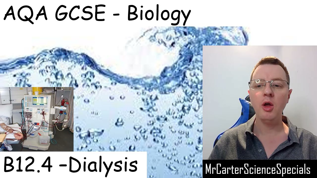 B12.4 - Kidney Function and Dialysis - AQA Biology GCSE 9-1 - YouTube
