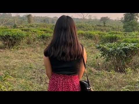 Tini tm sungkha ang ? bro thunai ang tini 🤔//Mali Debbarma vlog 🌼 - YouTube