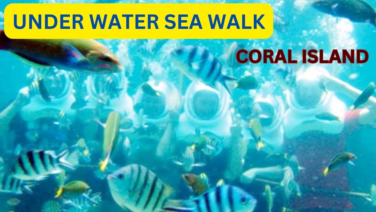 Under Water sea Walk_Coral Island..... - YouTube