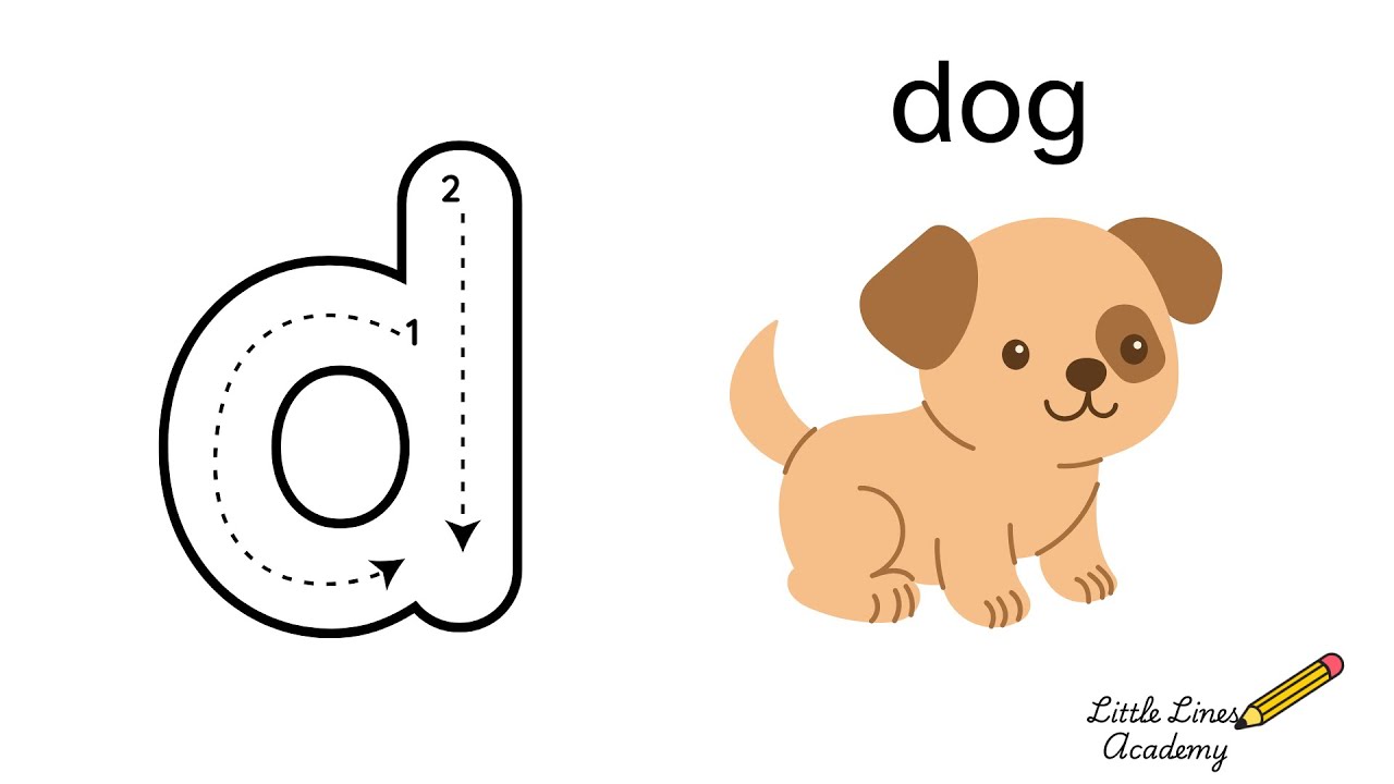 Phonics for Kids: The Letter D (Lesson 13) - YouTube