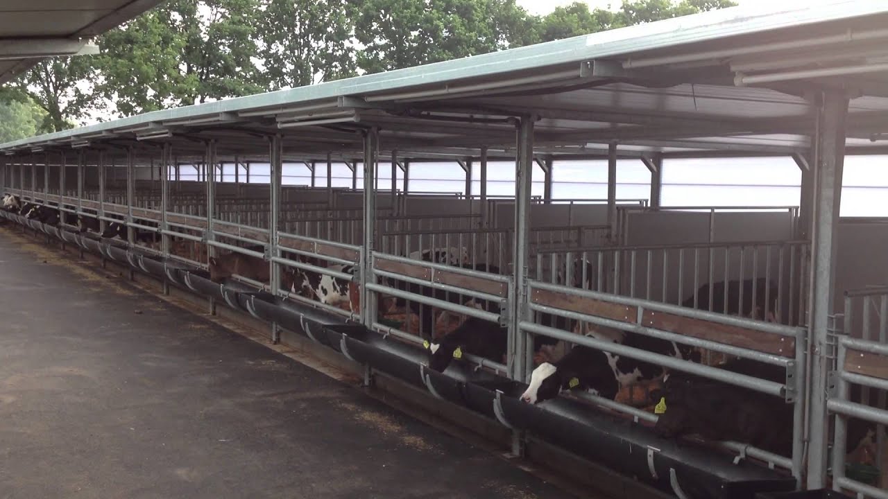 Flexistal Alpuro Breeding - YouTube