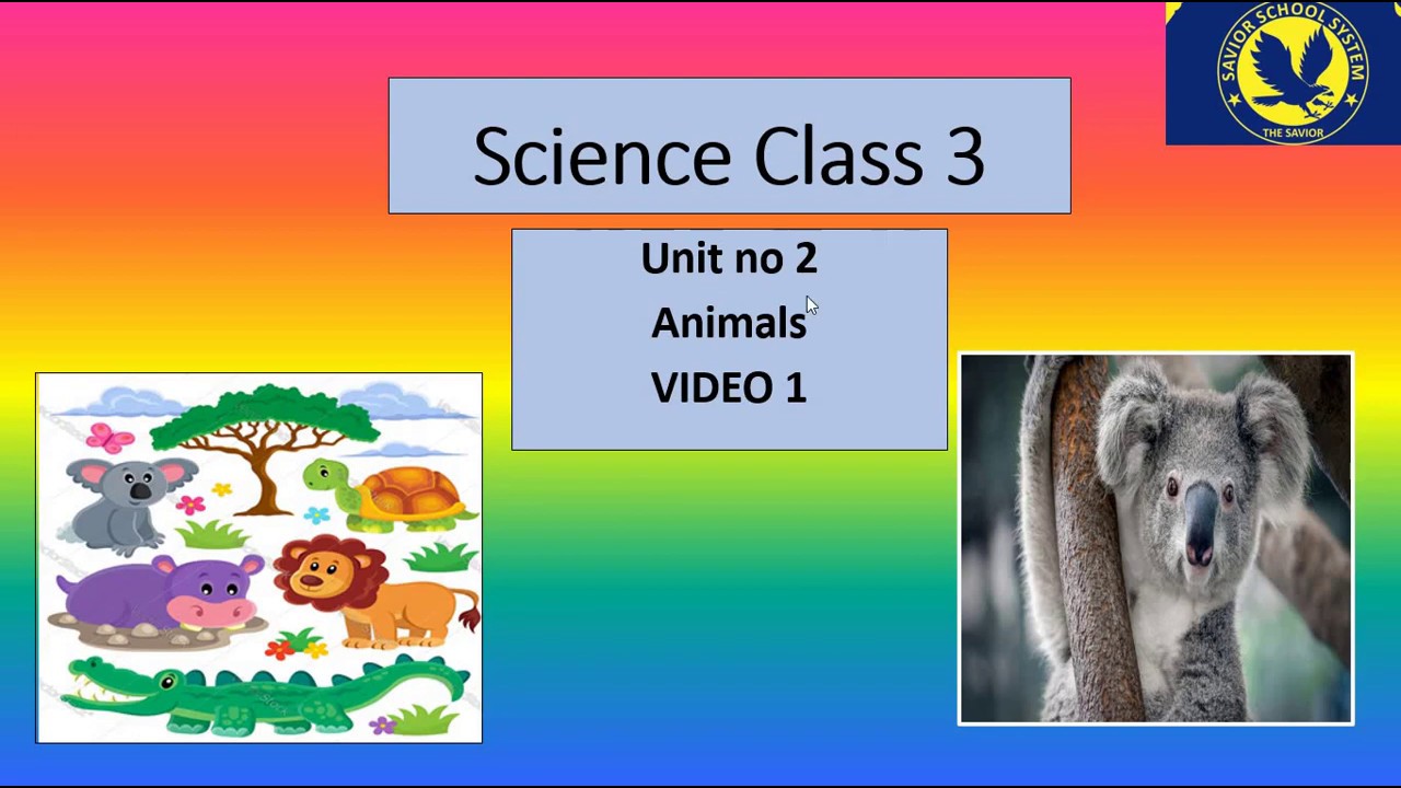 Science for UNIT 2 CLASS 3 VIDEO 1 - YouTube