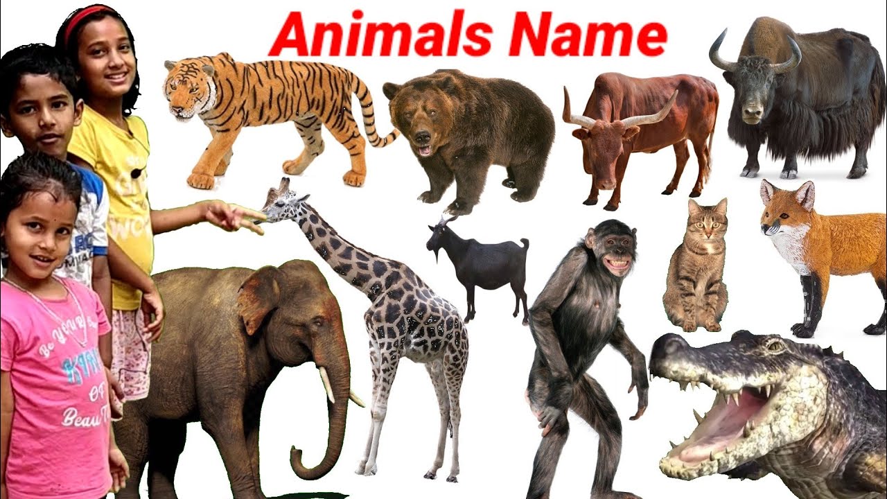 Learn Animals Name with Cute Children | Cow, Cat, Lion, Dog, Bear ...