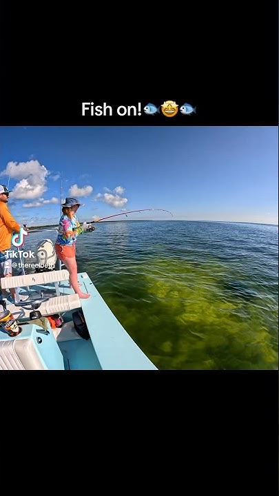 FISHIN’ on a BOAT, livin’ our BEST LIVES🎣 🐈‍⬛ not another CATFISH!🤮 ...