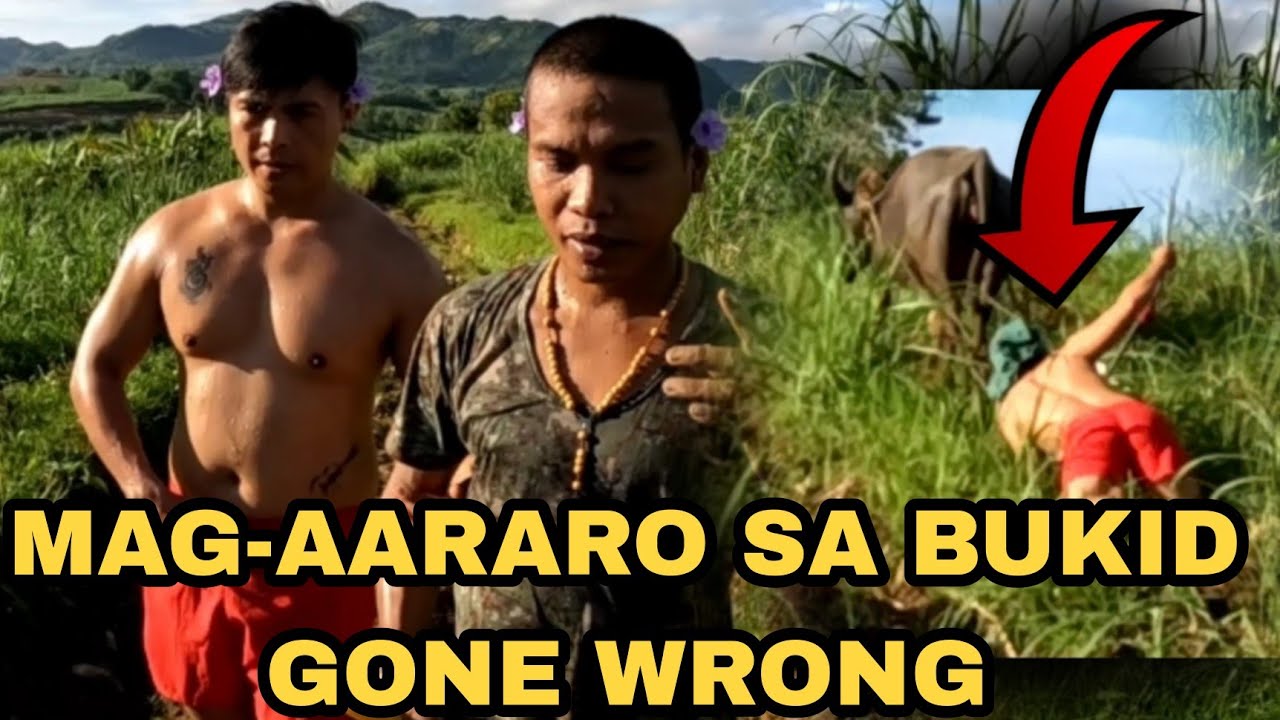 Mag- Aararo sa Bukid with Regan - YouTube