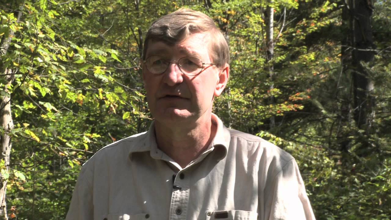 Finch Paper - Multiple Use Forestry - YouTube