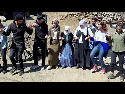 Havar gule ekibi BİNGÖL HOZAN MAHMUT GRANİ HAKAN SOLİST TARIK BATERİST VOLKAN İRTİBAT:0535 247 60 56