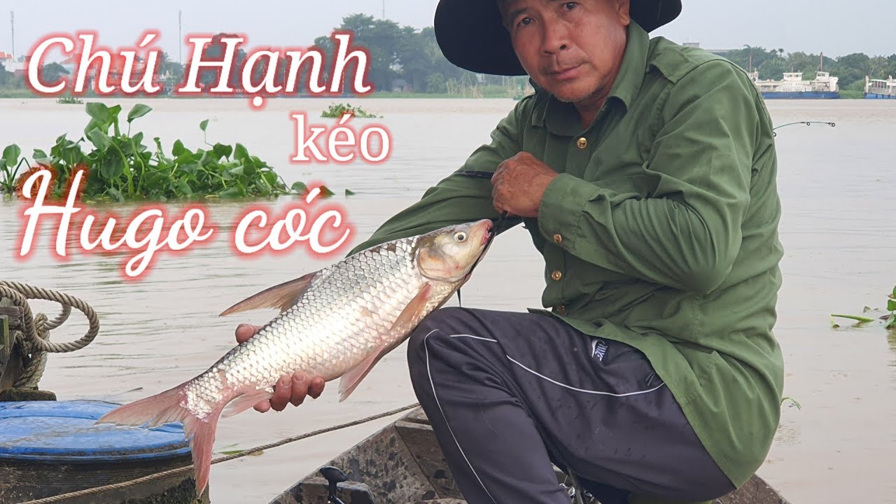 Nay đi câu gặp tiền bối [ chú Hạnh ] kéo Hugo cóc quá đã mọi người ơi ...