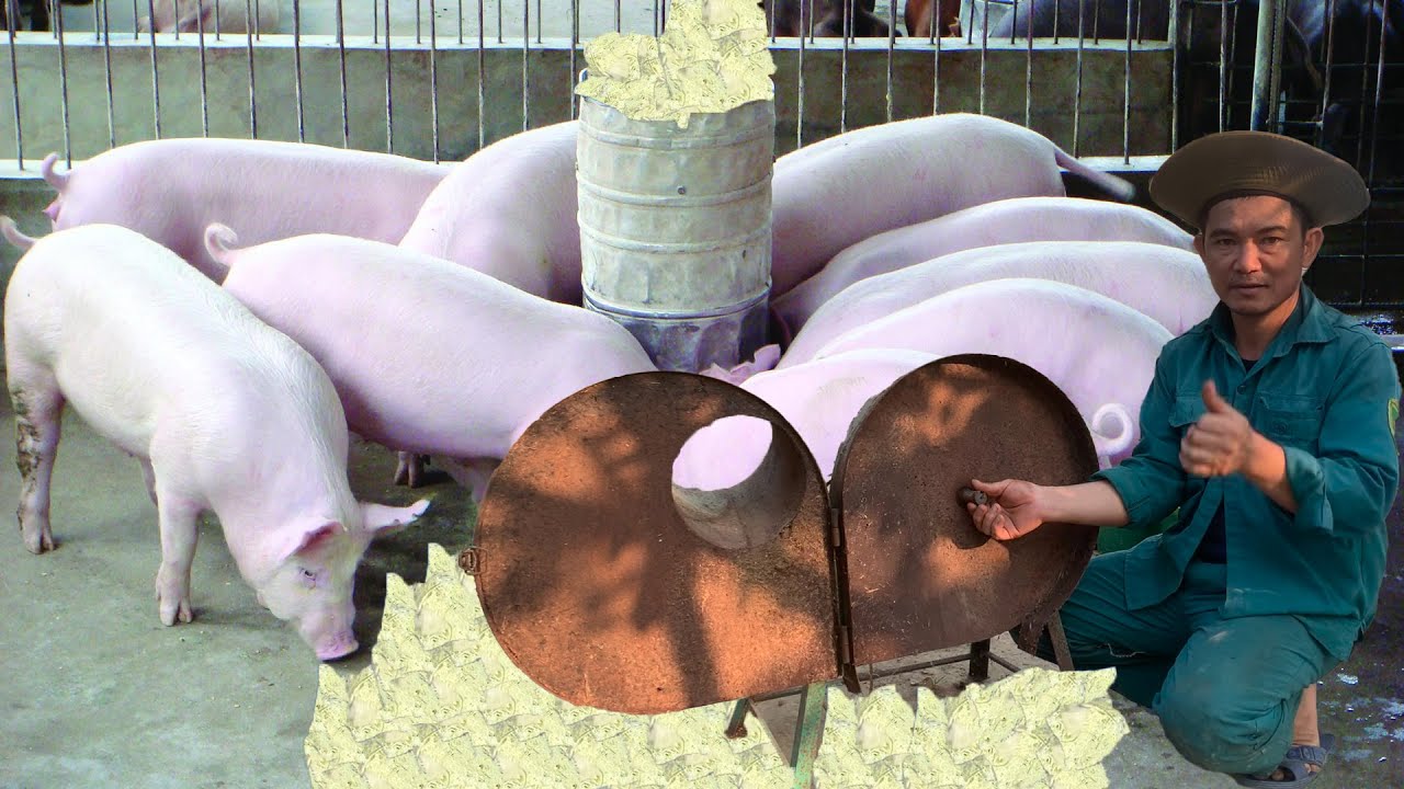 My Secret to Fast Pig Farming Revealed | It's All About This Machine ...