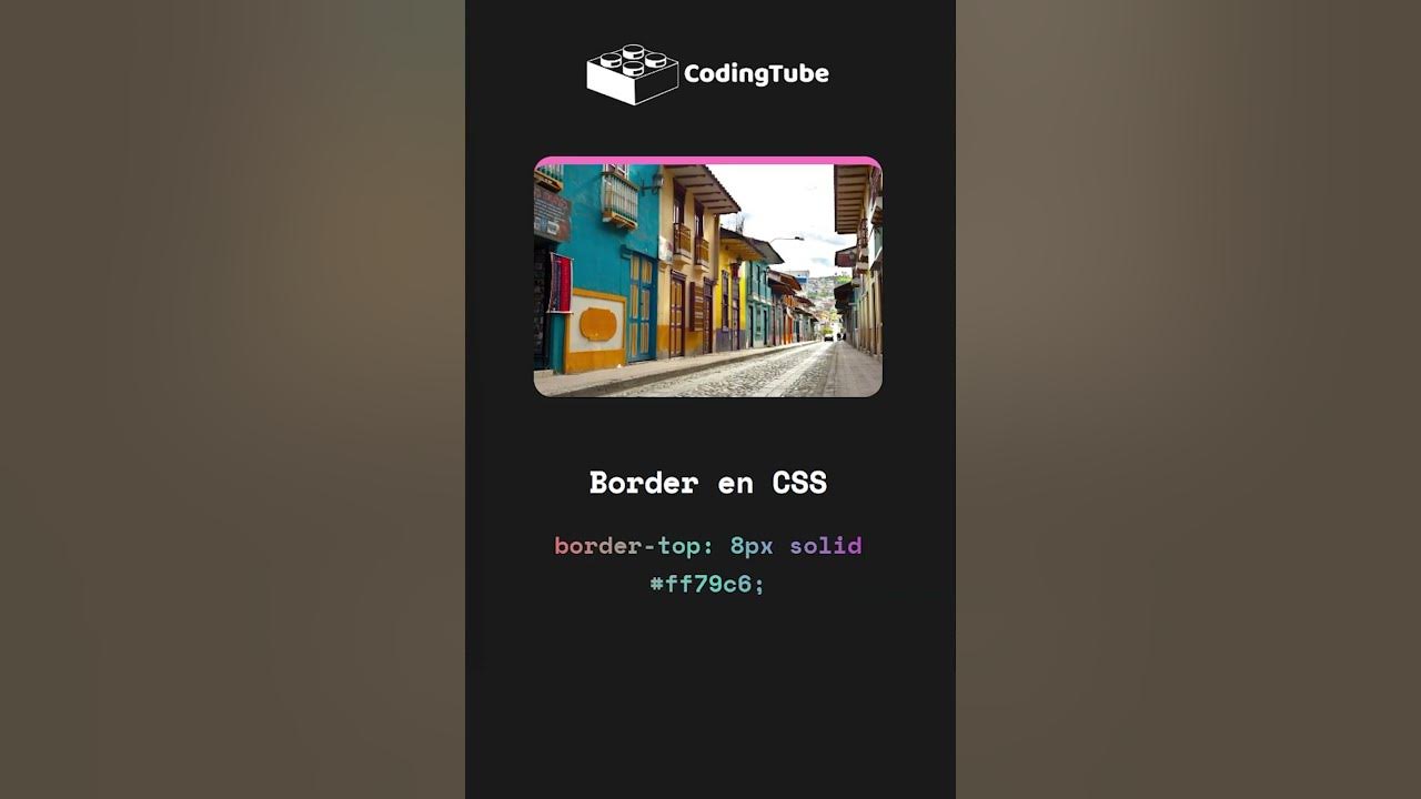 La propiedad BORDER en CSS 🚀 - YouTube