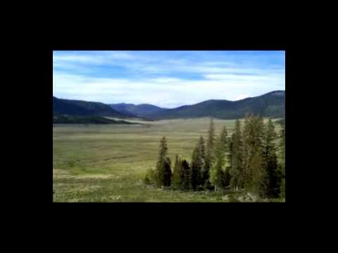 Forest Stand Dynamics 2014 podcast - Jesse Mike