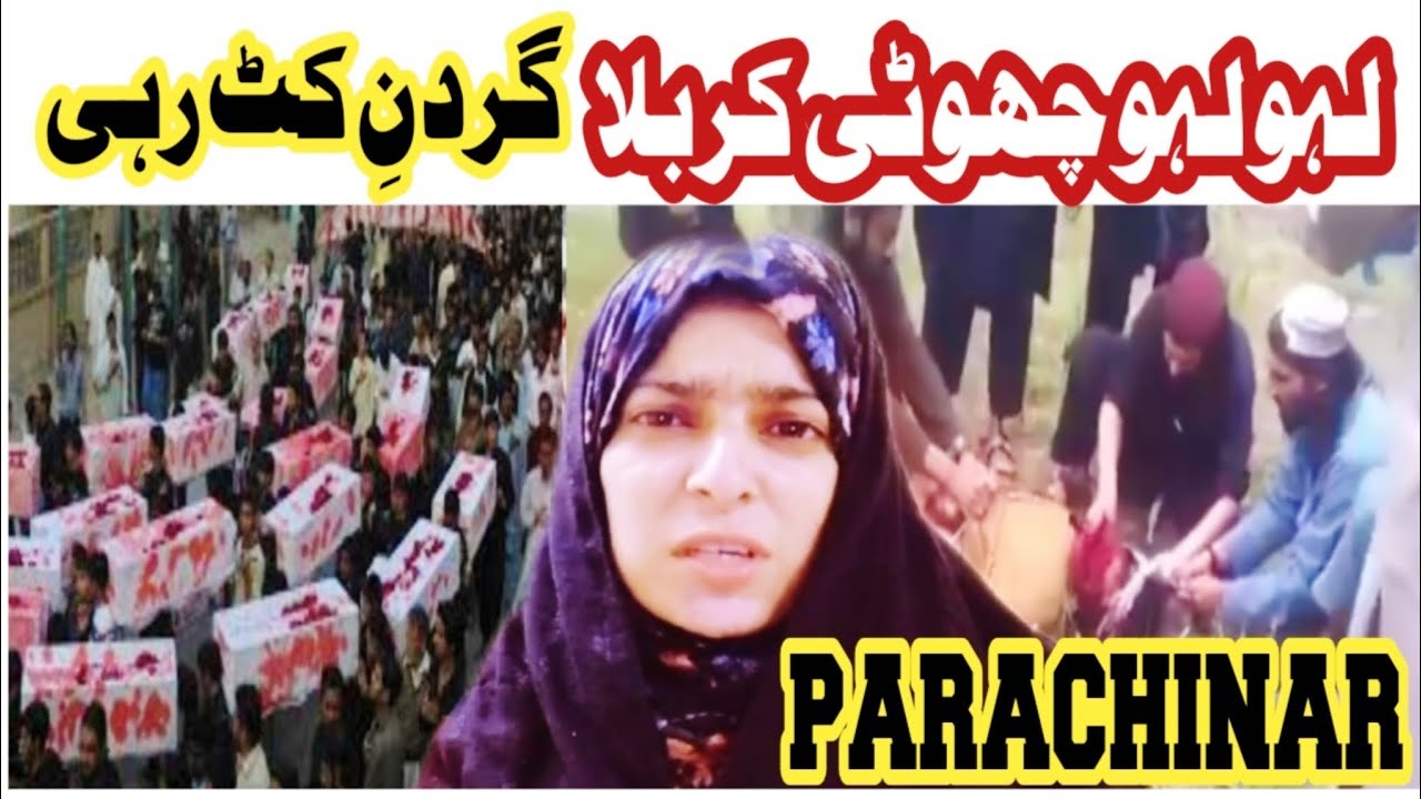 Parachinar || Parachinar Shia || Para Chinar News Today || Syeda Mehak ...