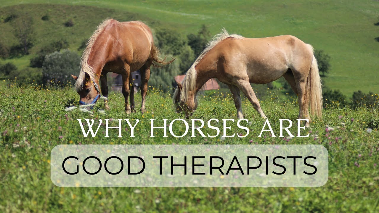 Rewilding With Horses | Modern Animism - YouTube