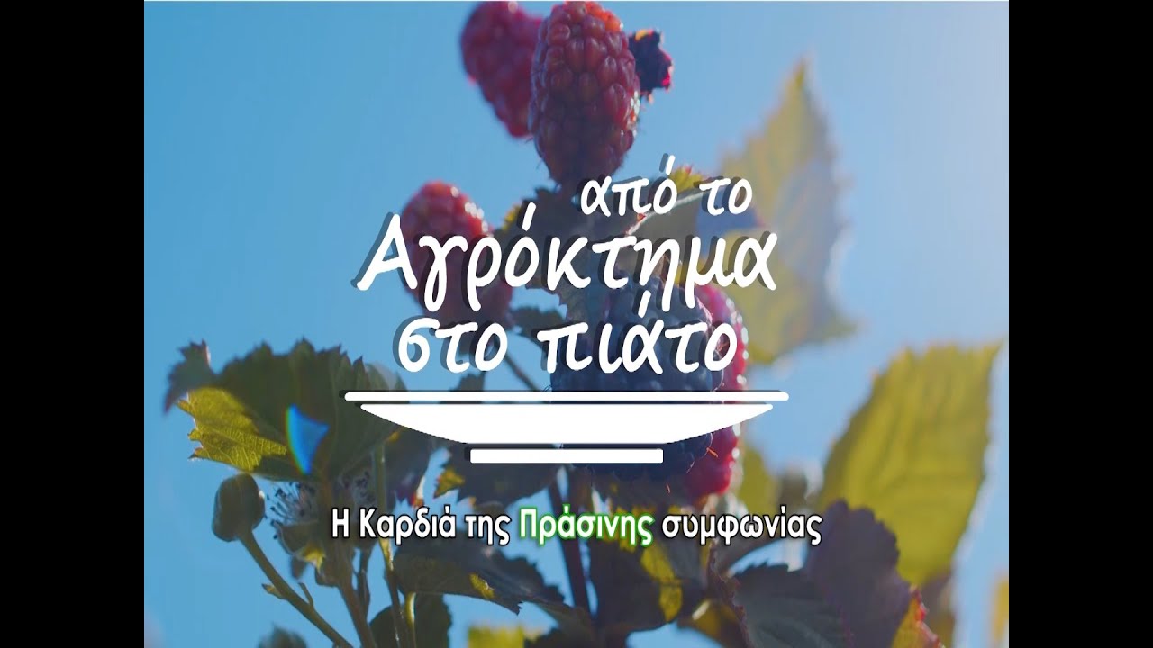 ΑΠΟ ΤΟ ΑΓΡΟΚΤΗΜΑ ΣΤΟ ΠΙΑΤΟ ΕΠ 01 - YouTube