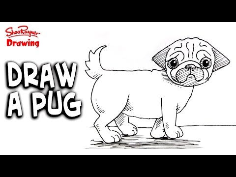 Easy step-by-step instructions for drawing a pug for beginners [+video]
