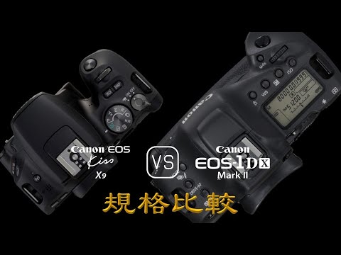Canon EOS Kiss X9 與 Canon EOS-1D X Mark II 的規格比較 - YouTube